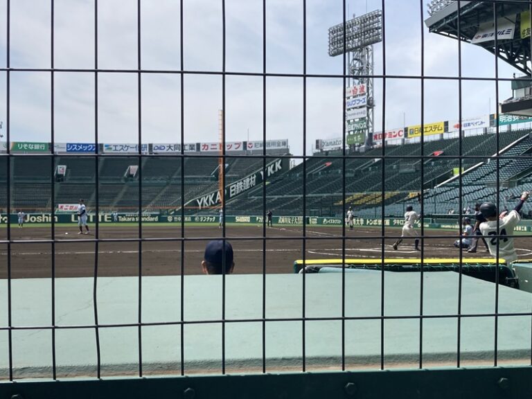 【画像で分かる！SMBCシート】甲子園球場の見え方ガイド | 野球喫茶