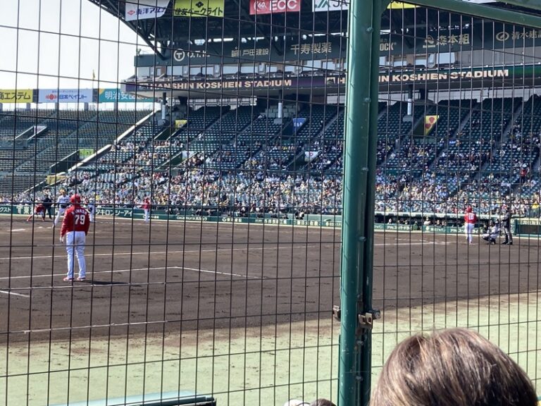 【画像で分かる！SMBCシート】甲子園球場の見え方ガイド | 野球喫茶