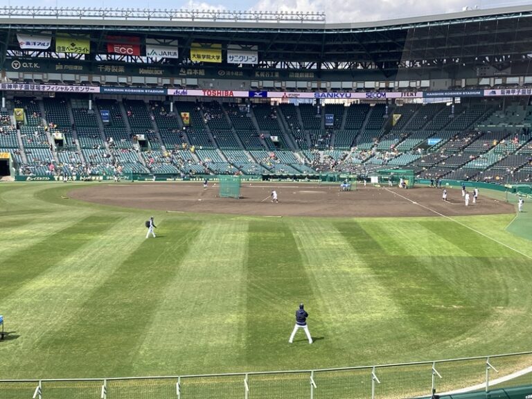【画像で分かる！】甲子園球場「レフト外野指定席」見え方のまとめ | 野球喫茶